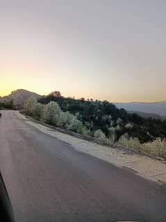 Olx Islamabad in Pakistan, Free classifieds in Pakistan | OLX.com.pk