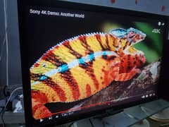 Computers & Accessories for sale in Karachi | OLX.com.pk