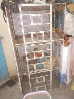 Cages in Pakistan, Free classifieds in Pakistan | OLX.com.pk