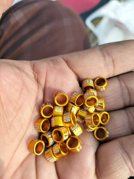 birds legs rings birds Acceriored - Pet Food & Accessories - 1069681446