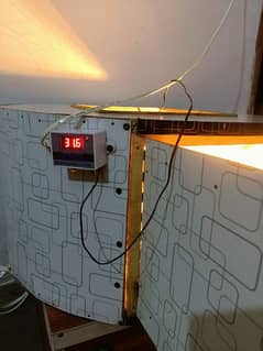 Brooder For Chicks in Pakistan, Free classifieds in Pakistan | OLX Pakistan