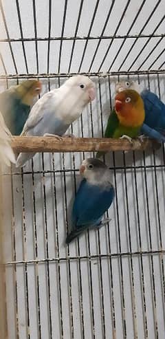Blue Pastel Split Ino in Pakistan, Free classifieds in Pakistan | OLX ...