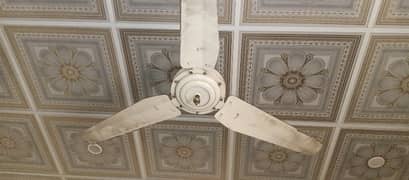 GFC office false ceiling fan - Other Home Appliances - 1078701417