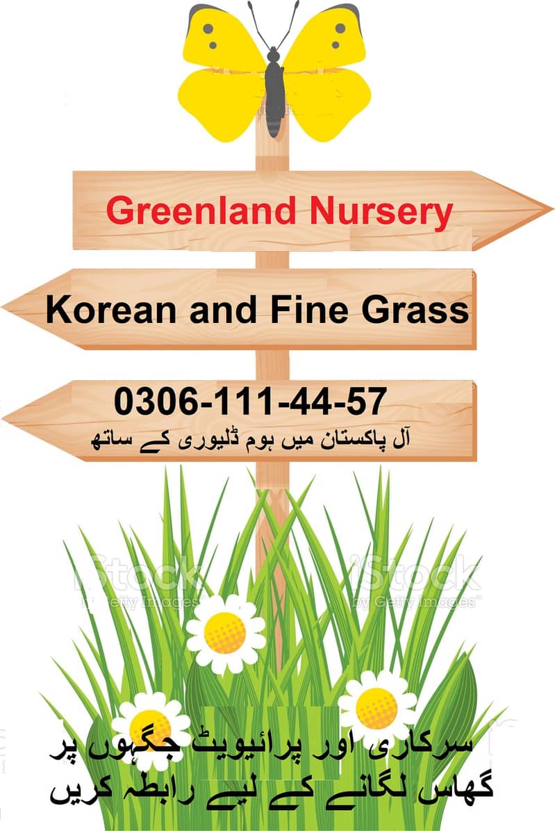 Natural Korean Grass And Fine Dhaka Grass Artificial Grass 1077072527