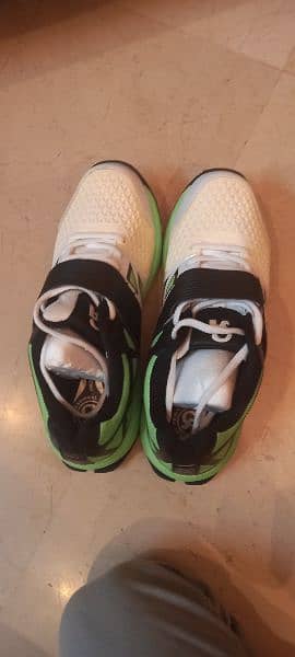 hard ball cricket kit - Sports Equipment - 1078009953