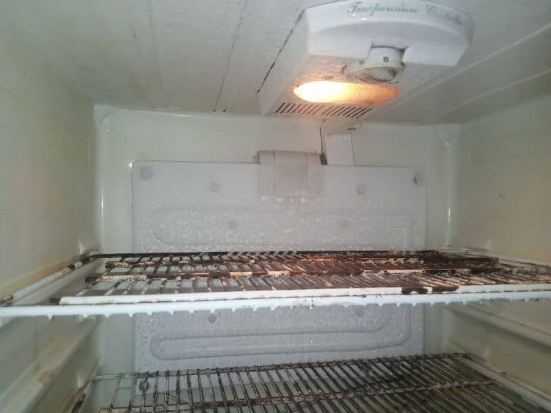 dawlance medium size fridge - Fridges & Freezers - 1080579722