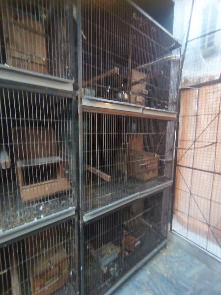 triple cage tower for parrots and hen - Other Animals - 1081589301