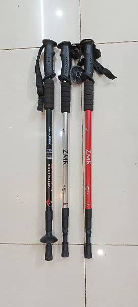 Hiking stick / tracking Stick - Sports Equipment - 1081919445