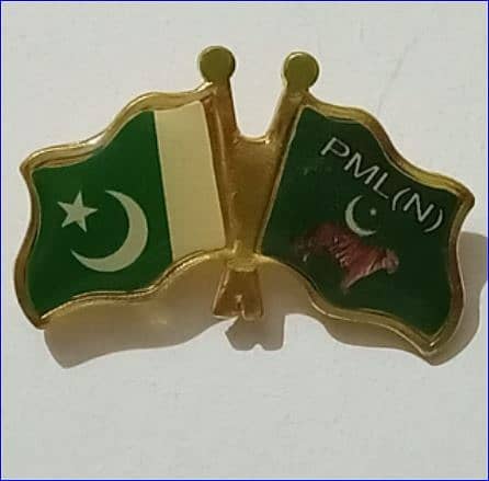 ANP Flag | Flag | PTI Flag | Cap | badge Muffler In Lahore - Other ...