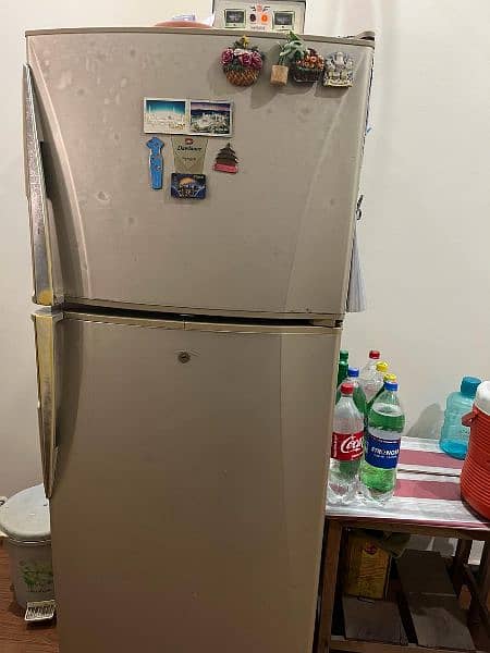 Dawlance Medium size Refrigerator - Refrigerators - 1083941455