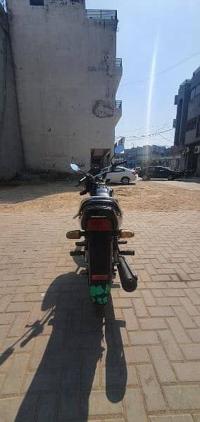 Honda splendor 100cc - Standard - 1084362290
