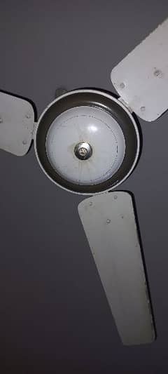 Millat Ceiling Fan - Fans - 1084909035