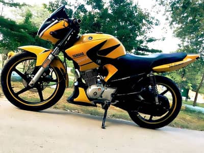 YBR yellow colour raped - Standard - 1085047069