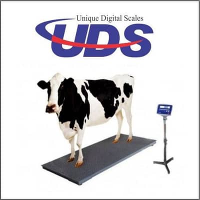 animal scale,controlshad scale,weighing scale,kanta,computer kanta ...