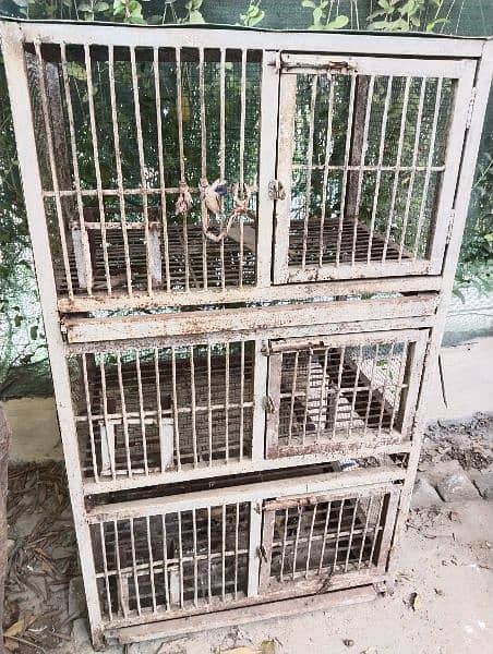 Solid iron cage, 6 ft height, 4 by 2.5 chorae - Hen Cages - 1086079326