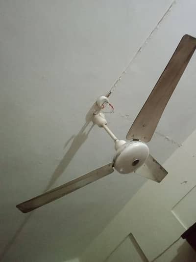 indus fan - Fans - 1086311399