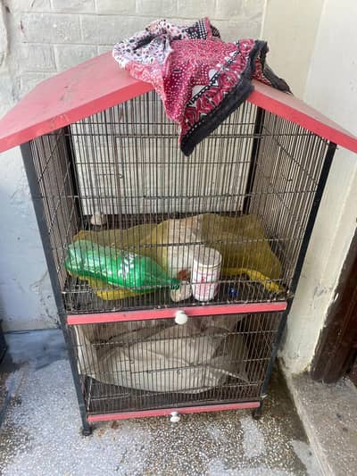 double angle iron cage - Hen Cages - 1086507946