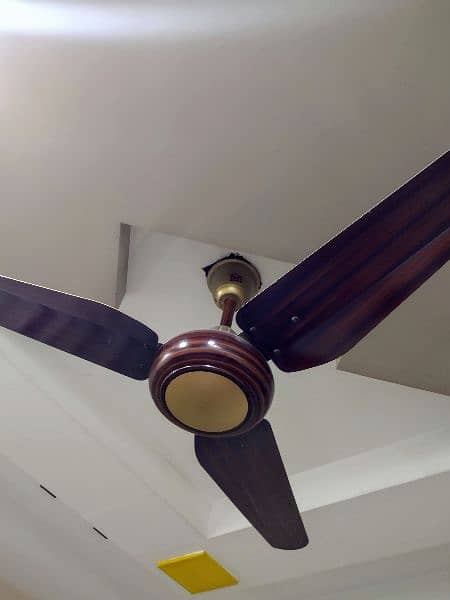 SK Luxury Ceiling Fan - Fans - 1087302925