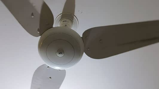 SK Ceiling Fan - Fans - 1087391332