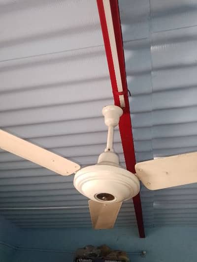 Rado Ceiling Fan - Fans - 1087766072