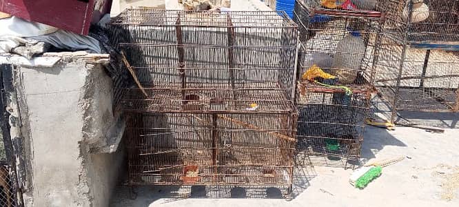 cage for sale - Hen Cages - 1088003589
