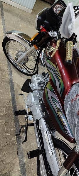 Honda CD 70 2023 model - Standard - 1088616873