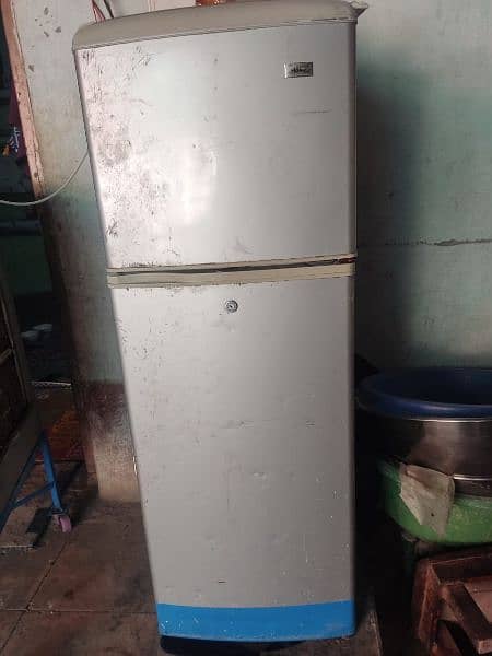 Nestle chiller and Mini fridge - Mini - 1088955483