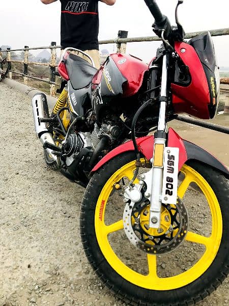 Yamaha ybr 2019 model - Standard - 1089259530