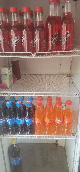 pepsi chiller - Freezers - 1089414044