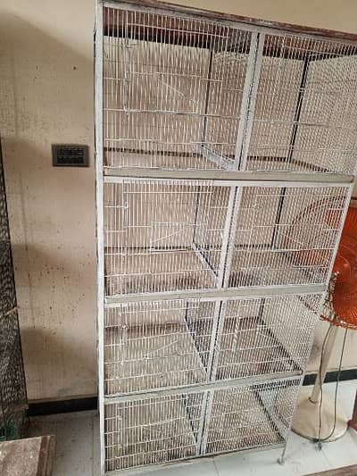 Pinjra / Cage - Parrots - 1089197952