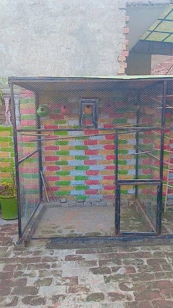 Beautiful cages and colony - Hen Cages - 1090458558