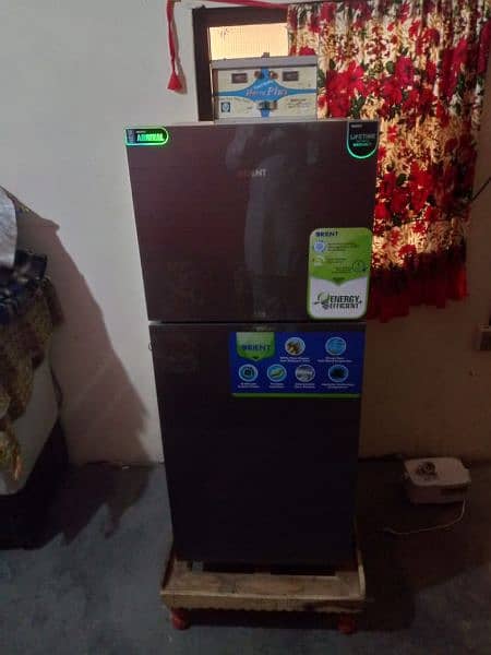 Orient fridge 03404833978 - Freezers - 1090466600