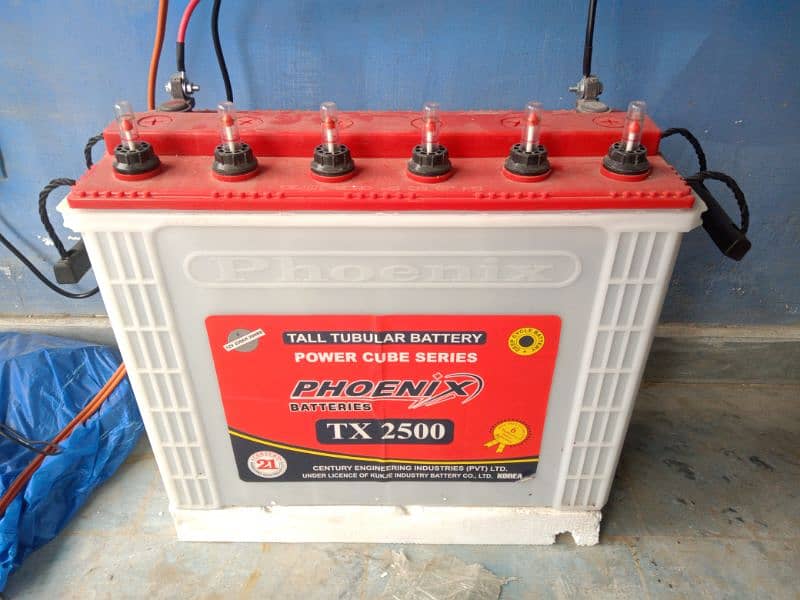 Phoenix TX2500 230ah Solar system Battery Tall Tubular Battery ...