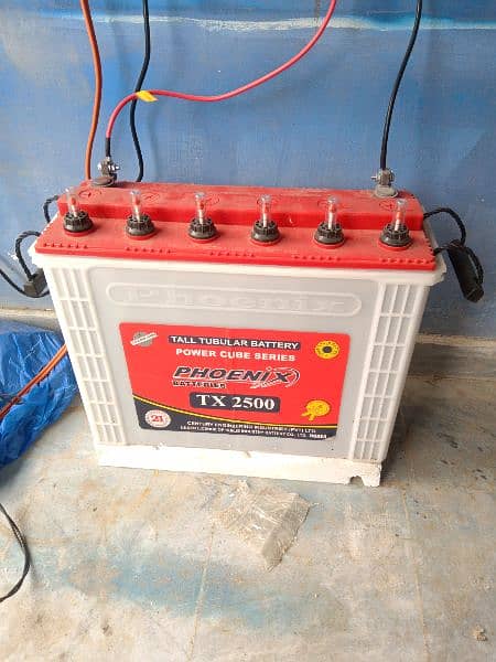 Phoenix TX2500 230ah Solar system Battery Tall Tubular Battery ...