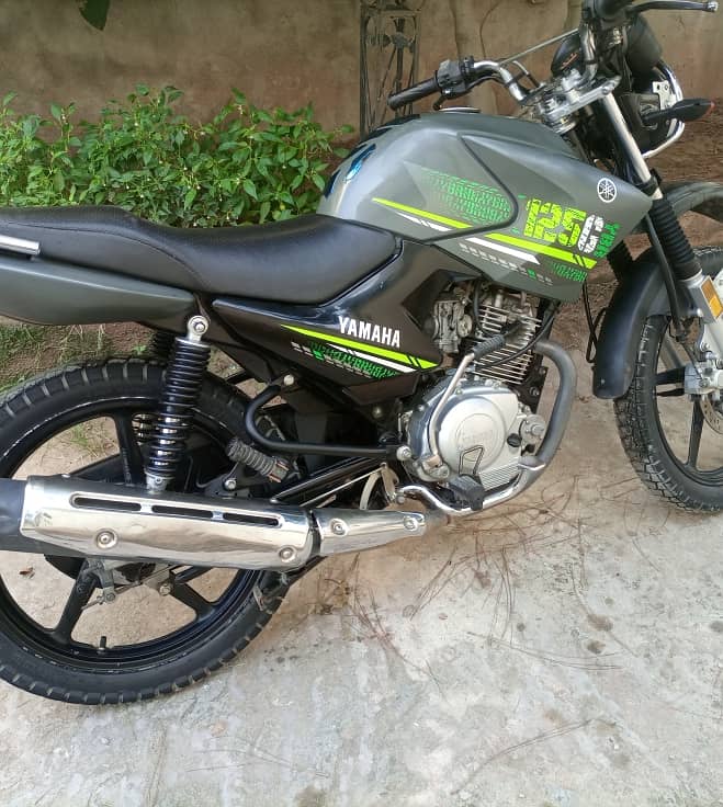 Yamaha YBR 125G Model SE 2022 - Standard - 1091658320