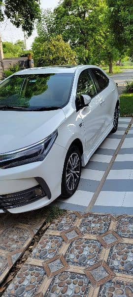 Toyota Altis Grande 2020 - Cars - 1091710972