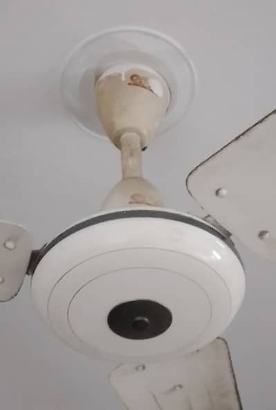 GFC Deluxe ceiling fan - Fans - 1092129463