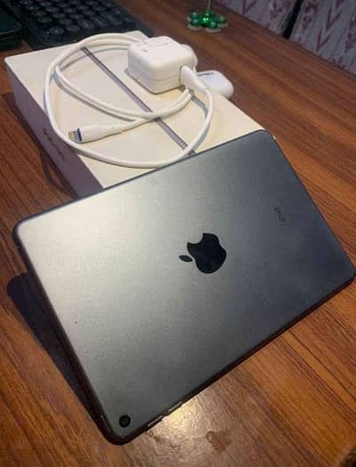 Ipad mini 5 (256 GB)Full box 03207093955 Whatsapp kro - Tablets ...