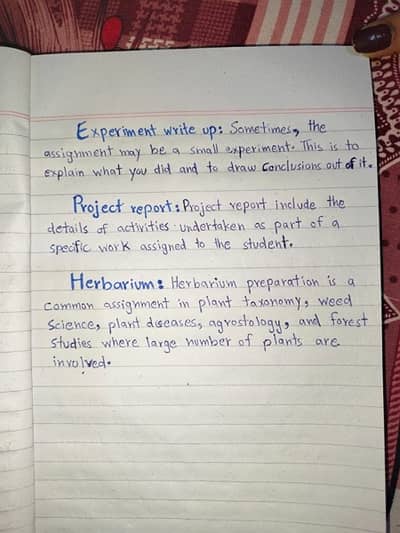 online handwriting assignment work - Content Writing Jobs - 1092541953