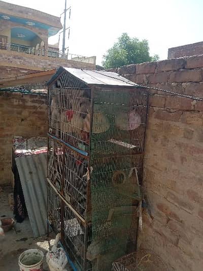 fancy cage - Hen Cages - 1092563621