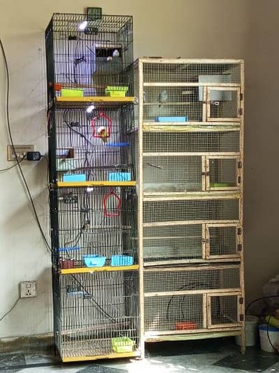 Cage for sale ( wooden and iron) - Finches - 1092596482