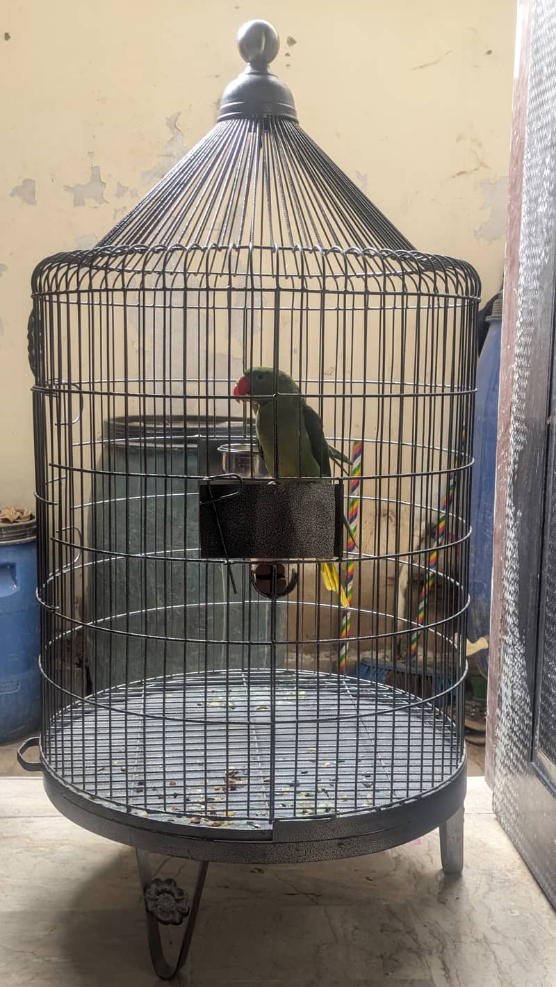 Almost New Cage - Birds Accessories - 1092629269