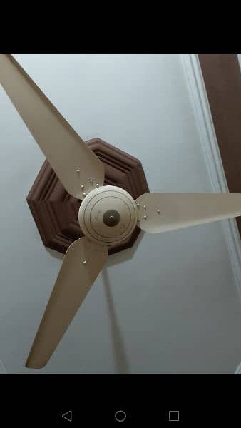 millat fan - Fans - 1092751488