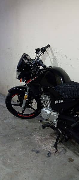 Yamaha YBR - Standard - 1092917662