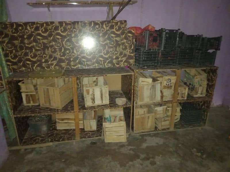 shop counter and wall racks - Food Stalls - 1093519509