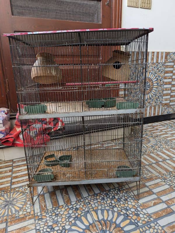 birds cage ( pinjra) - Birds Accessories - 1093789342