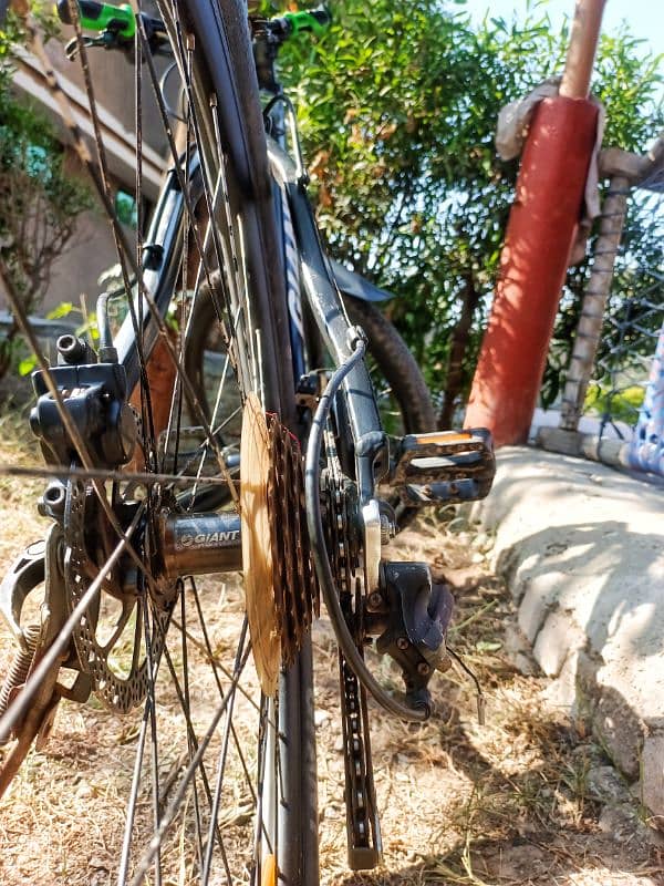GIANT cycle for sale 03005863020 - Other Bicycles - 1095369402