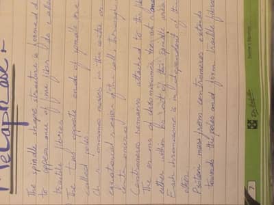 handwriting assignment work - Education Jobs - 1095621403