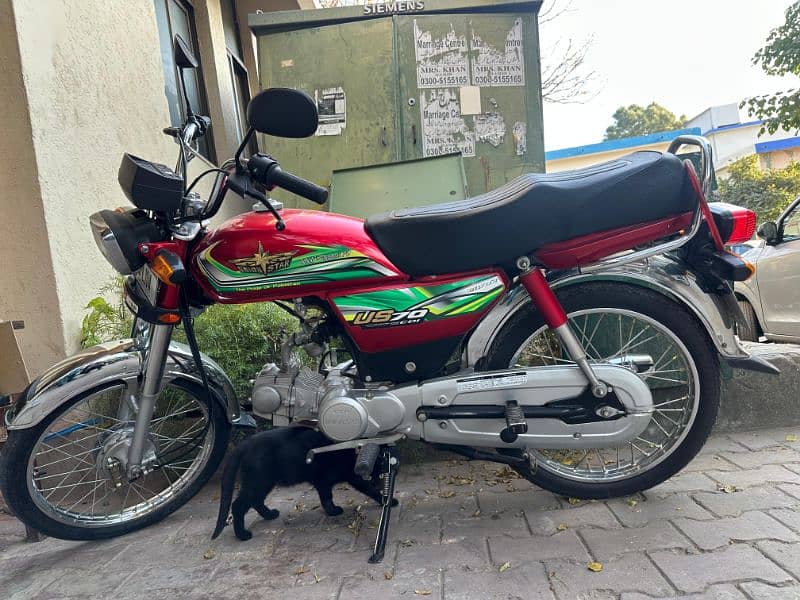 union star 2024 - Standard - 1096120957