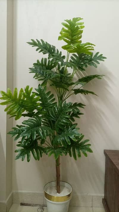 Artificial Pot - Showpieces - 1096151656